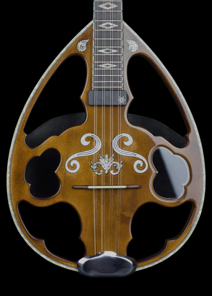 PRO I silent electric bouzouki | Xiloihos hand made musical instruments