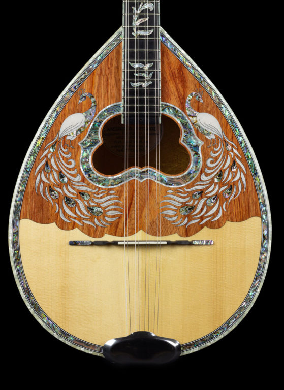 Shells - Xiloihos | Hand made musical instruments, Thessaloniki, Greece